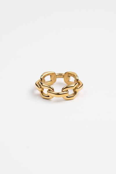 Big Chain Ring – TheAllyCatWalk